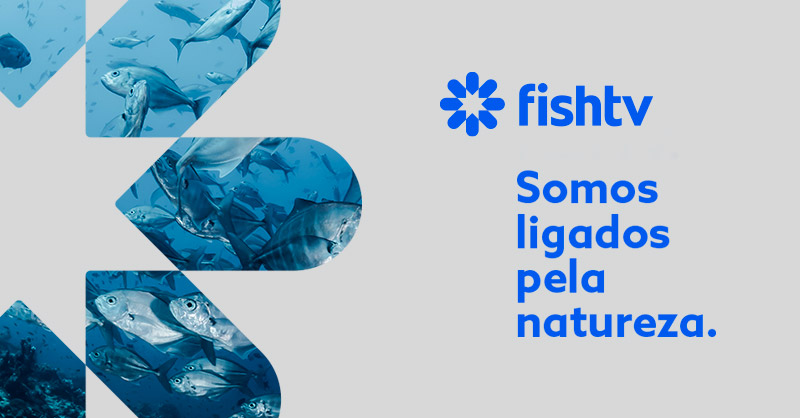 Veja a Grade de Programação Completa | Fish TV