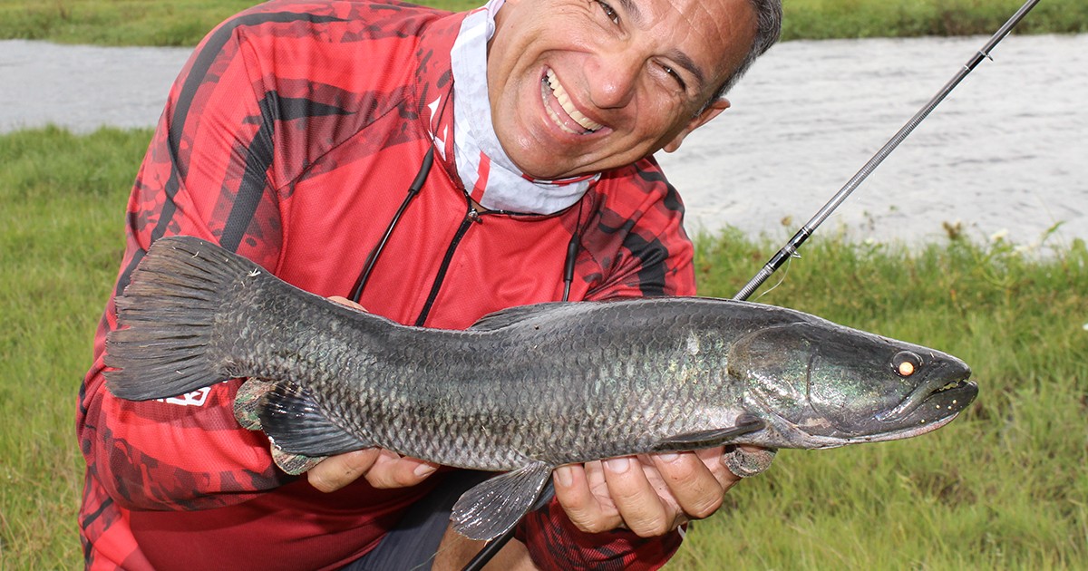 Traíra: o troféu que pode ser capturado o ano todo