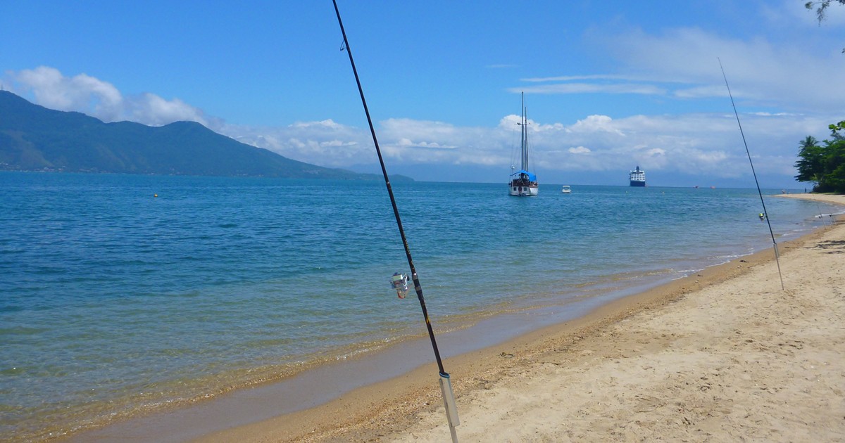 Pesca de praia: 3 peixes que você pode capturar no mar