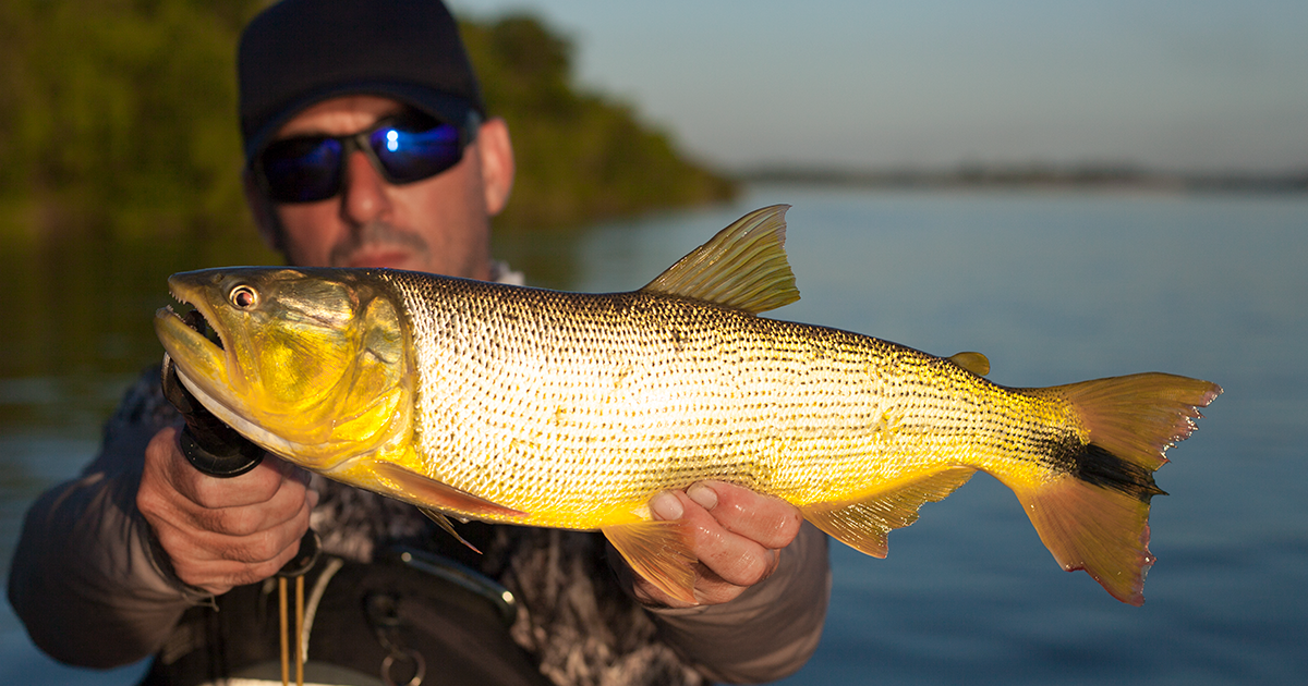 Pesca e Aventura: 3 Dicas do Gaba que você precisa ler antes da sua ...
