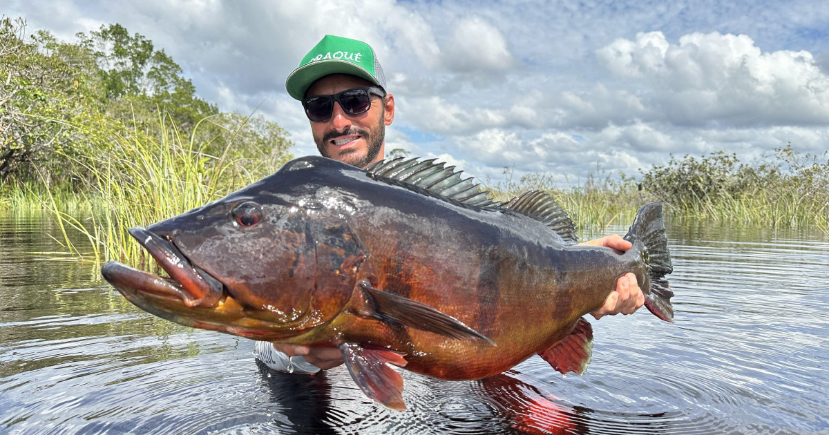 Fish TV: onde assistir os melhores conteúdos de pesca esportiva?