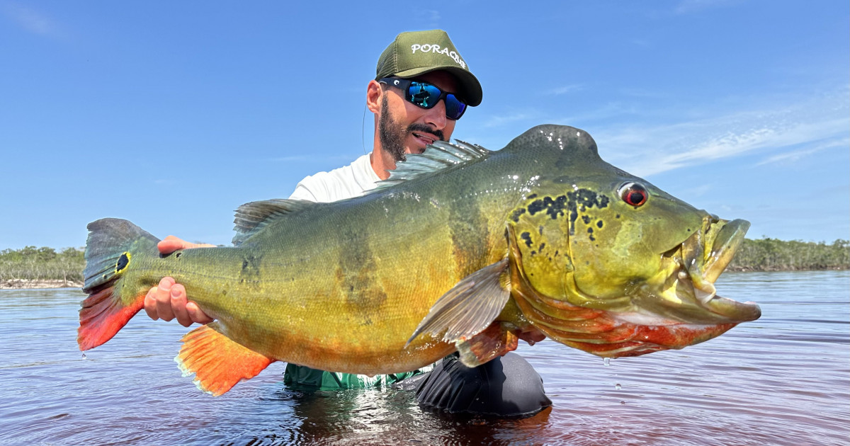 BRUNO BORSARI! Conheça a história do novo apresentador da Fish TV: um ...